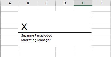 How to customise and insert a signature line in Excel | projectfive ...