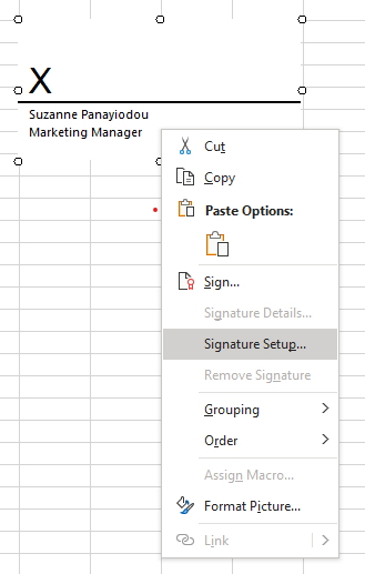 How to customise and insert a signature line in Excel | projectfive ...